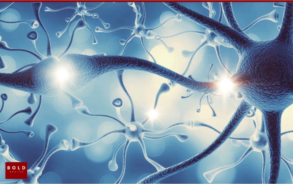 The Science of Addiction: How Alcohol Affects the Brain